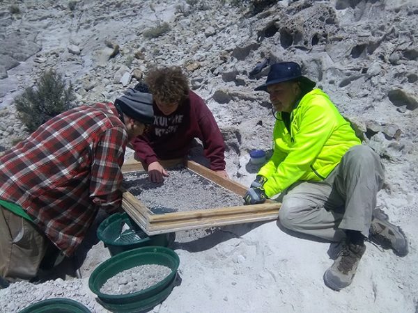 Mine – Searle Canyon Red Beryl Mine – Gem.tours (Treasure Hunting for ...