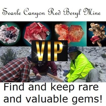 Tours Booking Page – Gem.tours (Treasure Hunting for Rare Gems ...